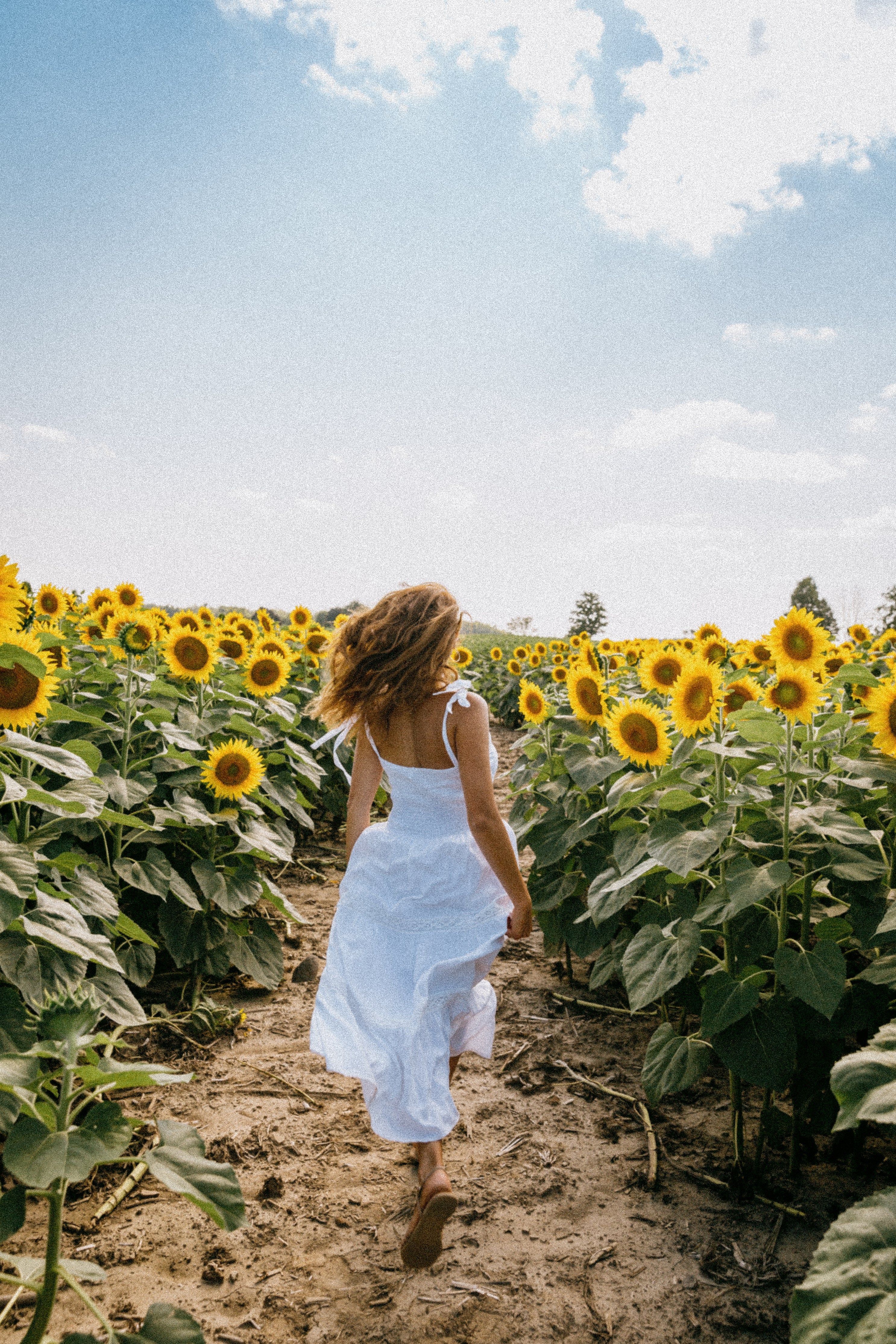 Spring Collection – Page 3 – Carebleu